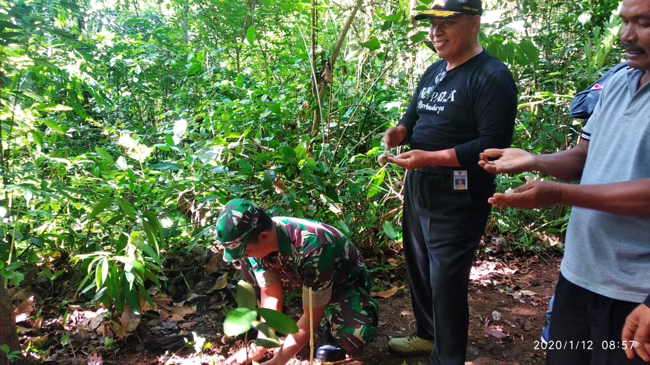 Seribu Bibit Pohon Tanaman Keras Ditanam di Area Taman Wisata Gunung ...